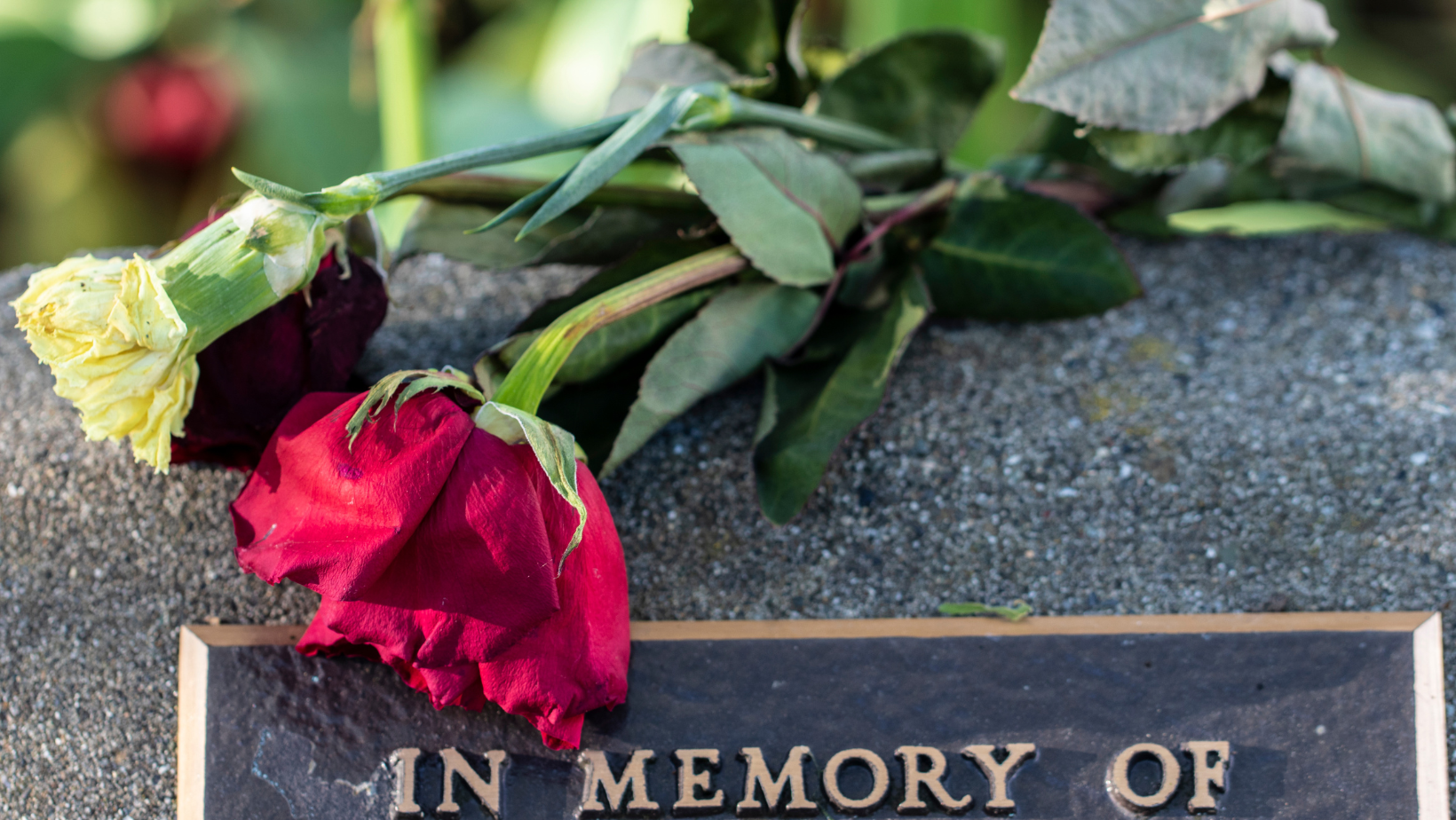Funeral Services | North Central Florida | 352-472-3244