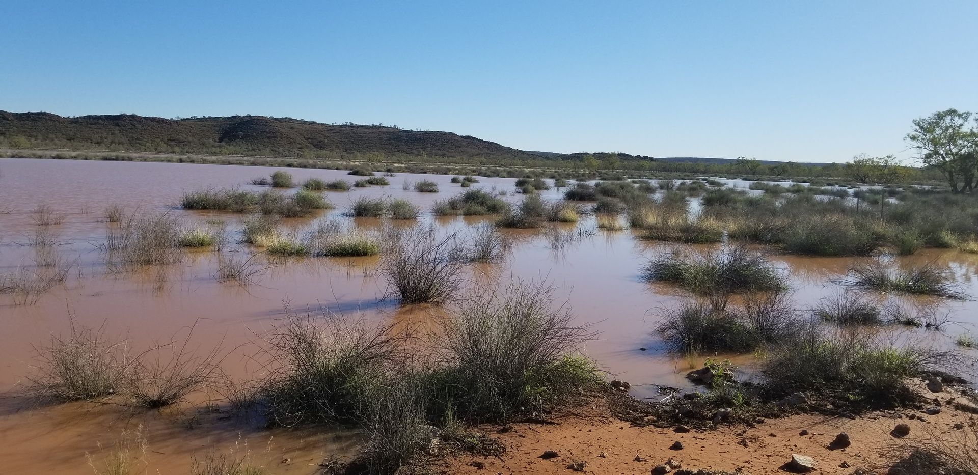 Northern Territory Bowhunters | Gallery
