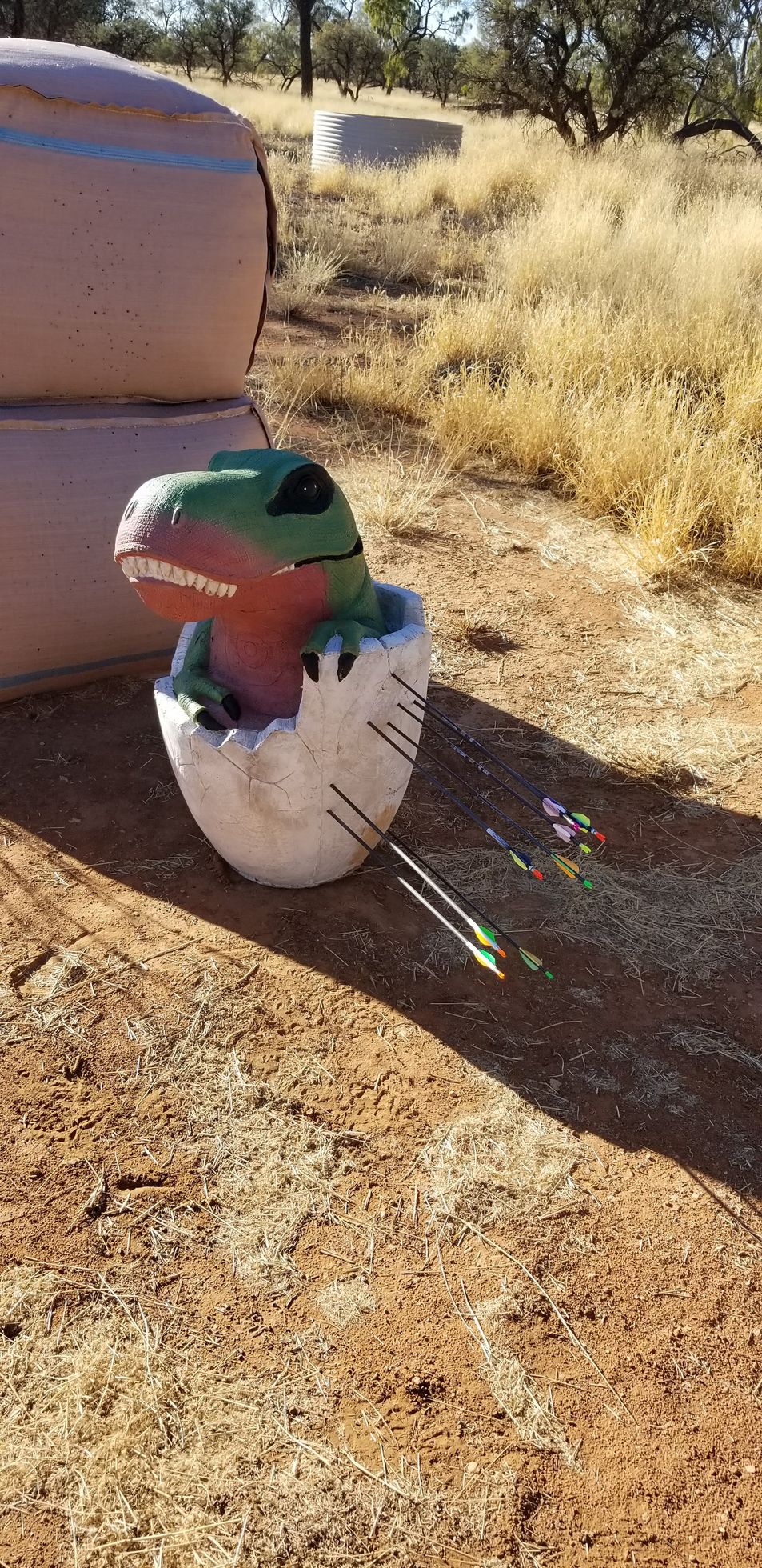 Northern Territory Bowhunters | Gallery