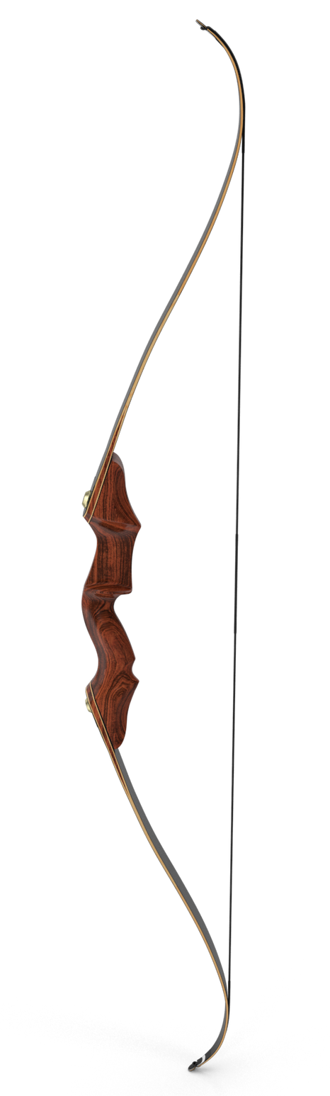 Archery Basics | NT Archery