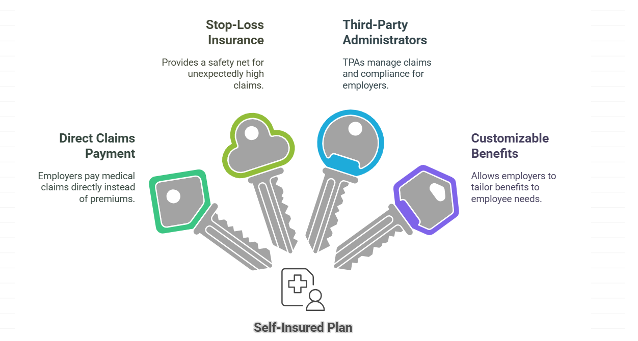What Is a Self-Insured Plan? A Complete Guide for Employers