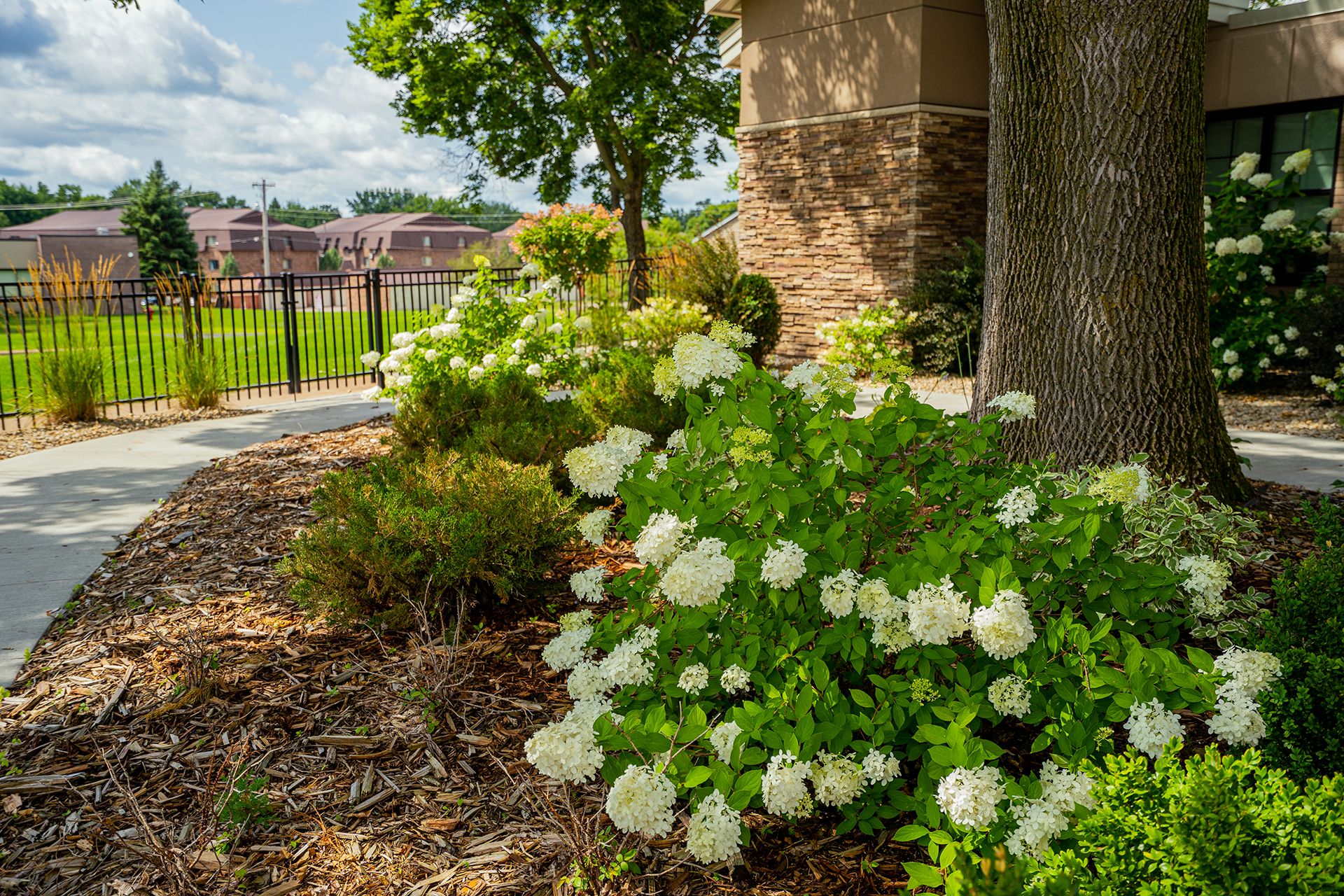 Angel Ridge: Low-Income Senior Housing in Elk River, MN