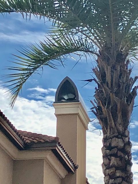 30 - 39 | Waukegan, IL | 847-244-8860