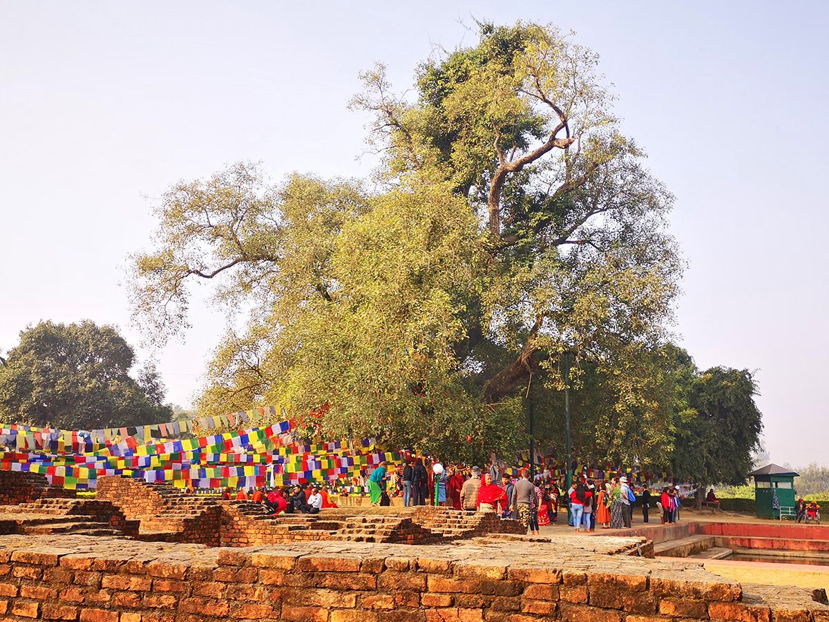 Celebrating Buddha Jayanti in Nepal