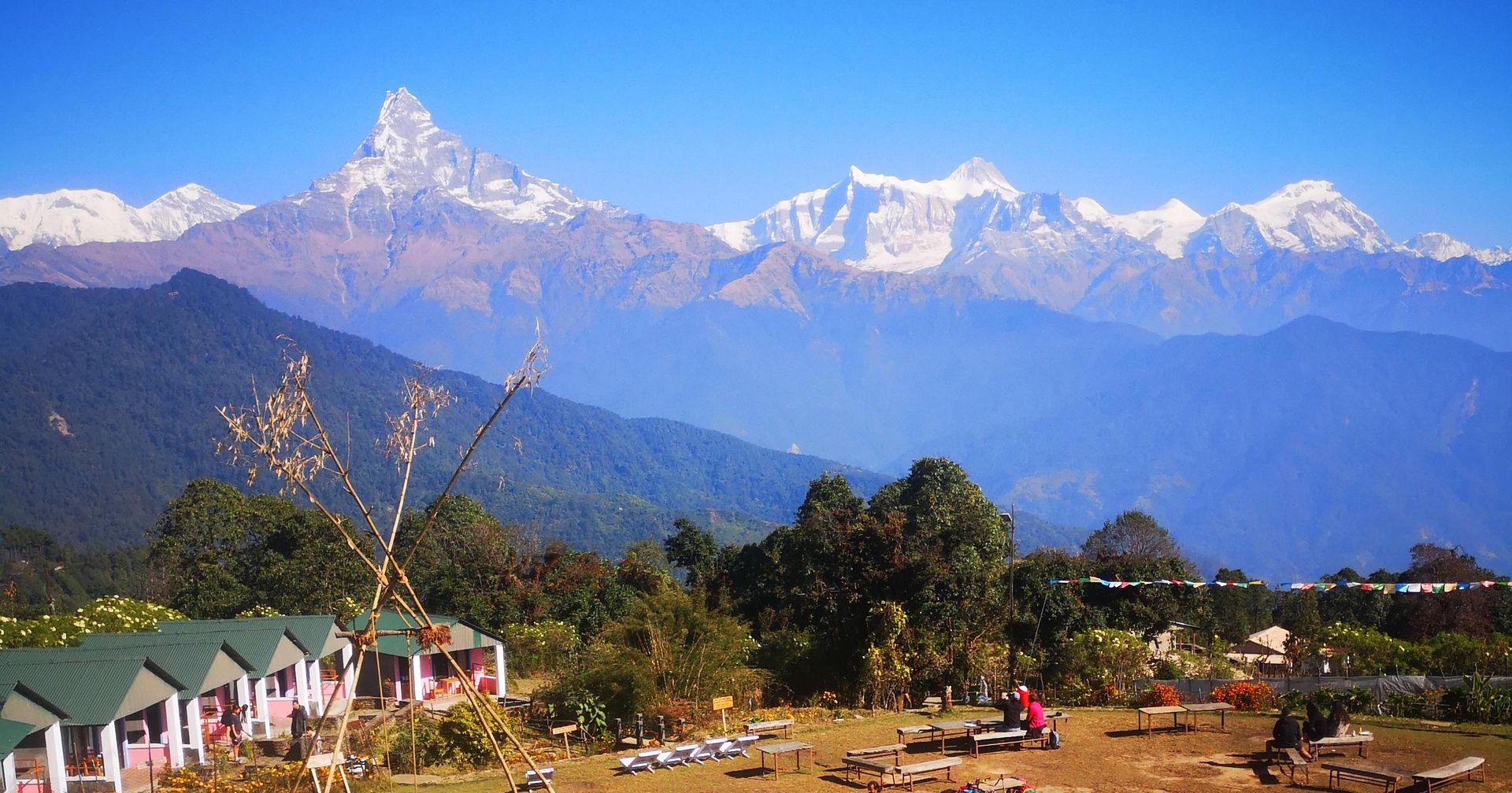 Dhampus Trek - A Day-Tour in the picturesque Village