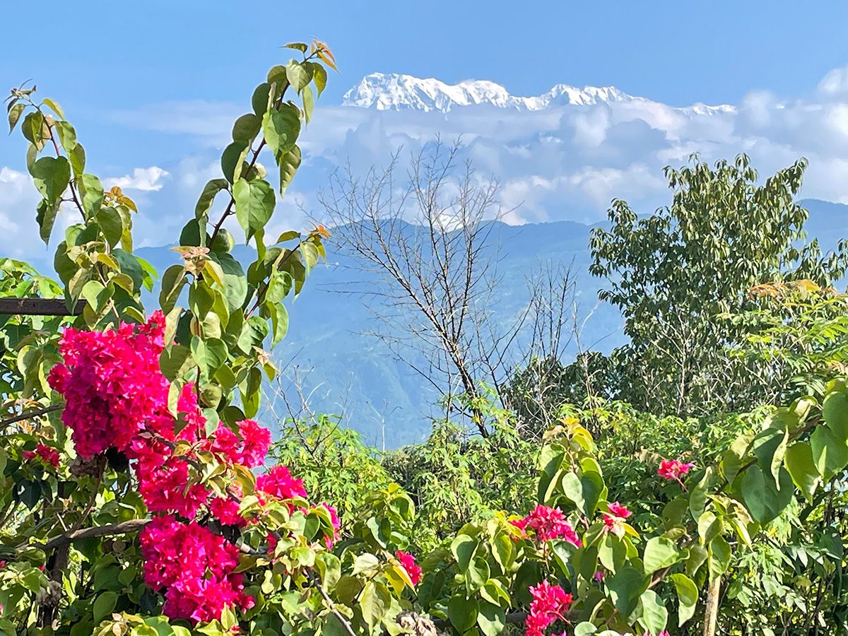Summer in Nepal: Experience Lush Trails and Serene Beauty