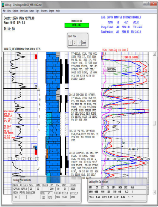 Well logging services | Houston, TX | 432-894-0707