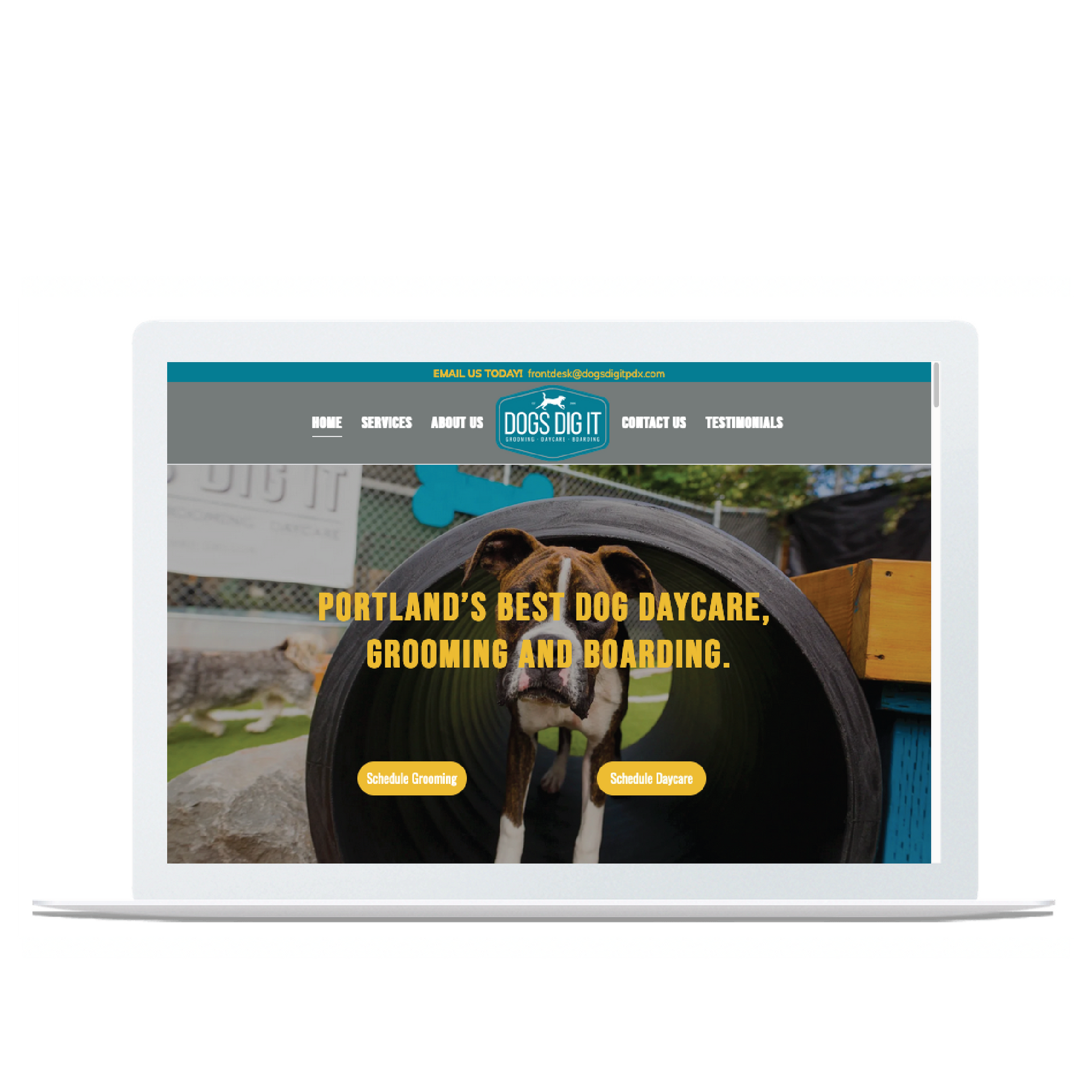Portland Web Design Agency | Salt Creative
