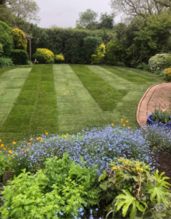 Cambury Turf: expert turfing in Cambridge, Norfolk and Suffolk
