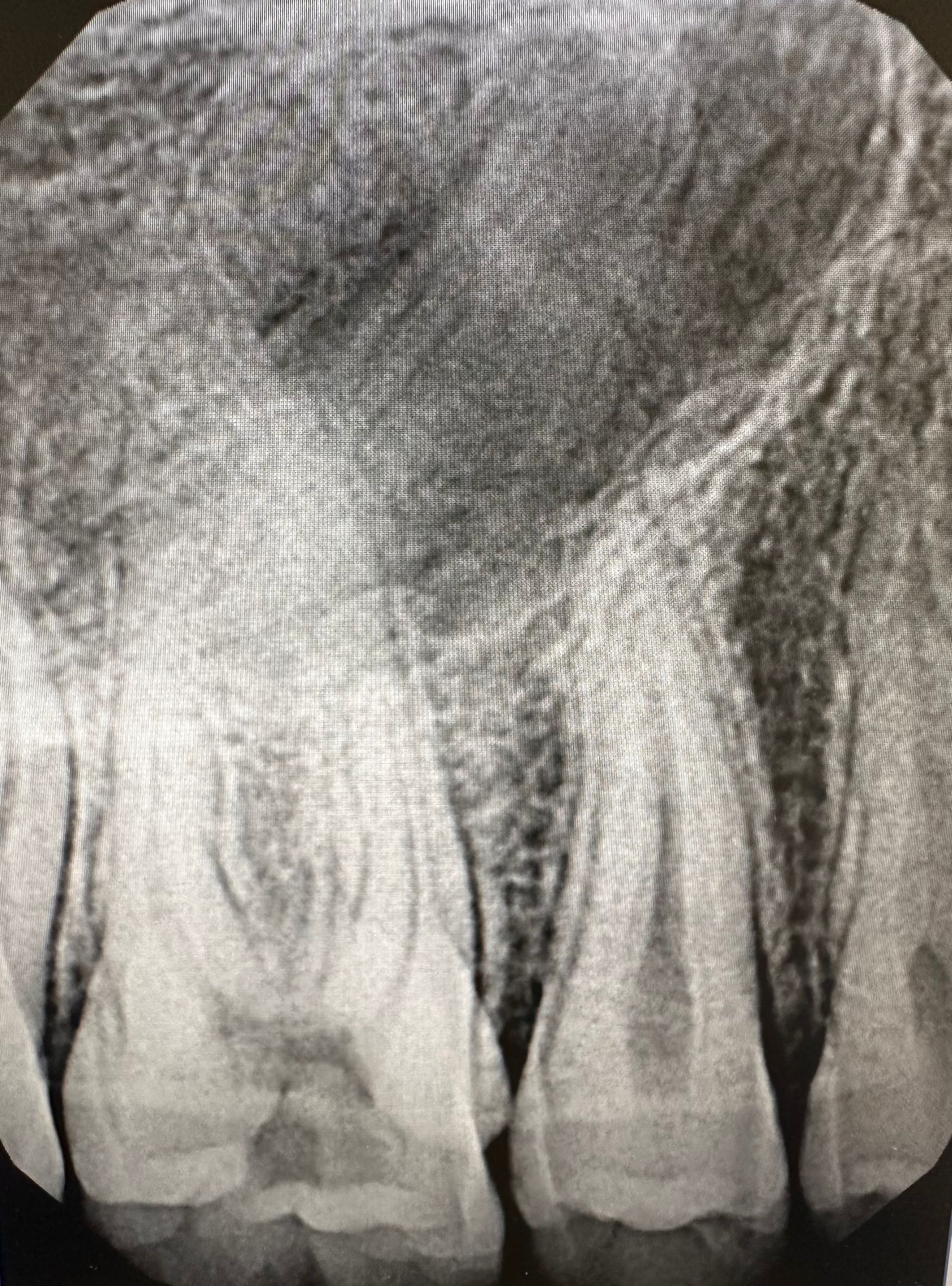 DR. MICHELLE JORDÁN-GONZÁLEZ | Board Certified Endodontist in Tampa FL