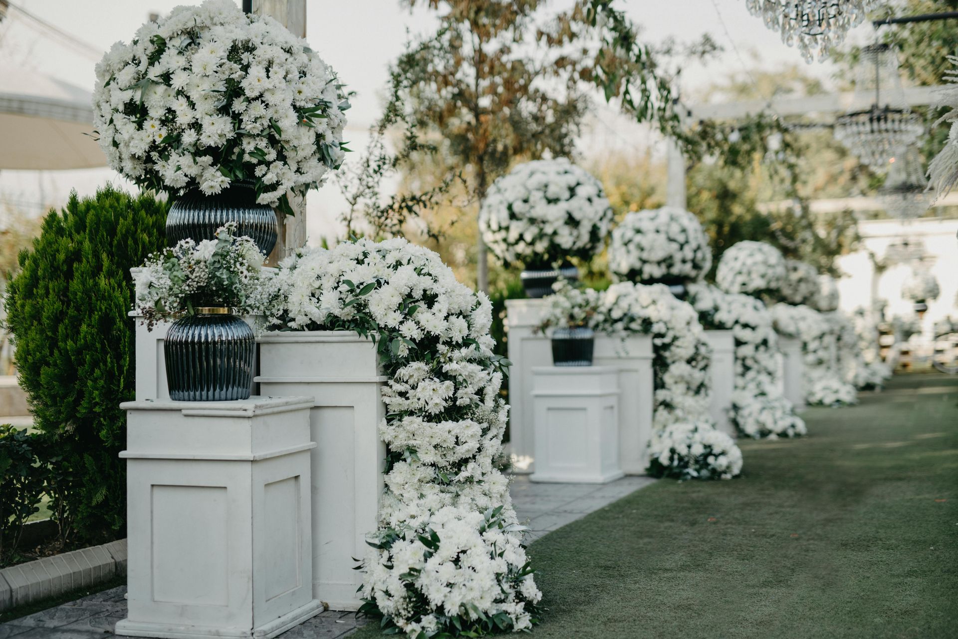 Boxwood Hedge Greenery Walls Backdrop Rentals | Hedge Wall Rentals Chicago
