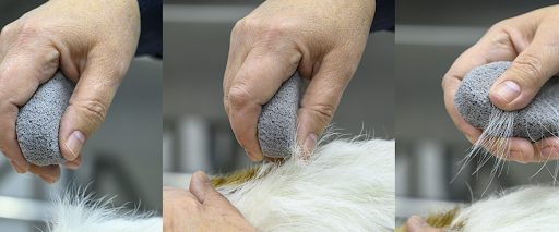 Dogs Hand Stripping: A Guide to Wire Coat Care