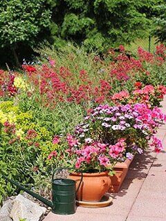 Garden Center – Highland, IN – Allen Landscape in Highland, LLC