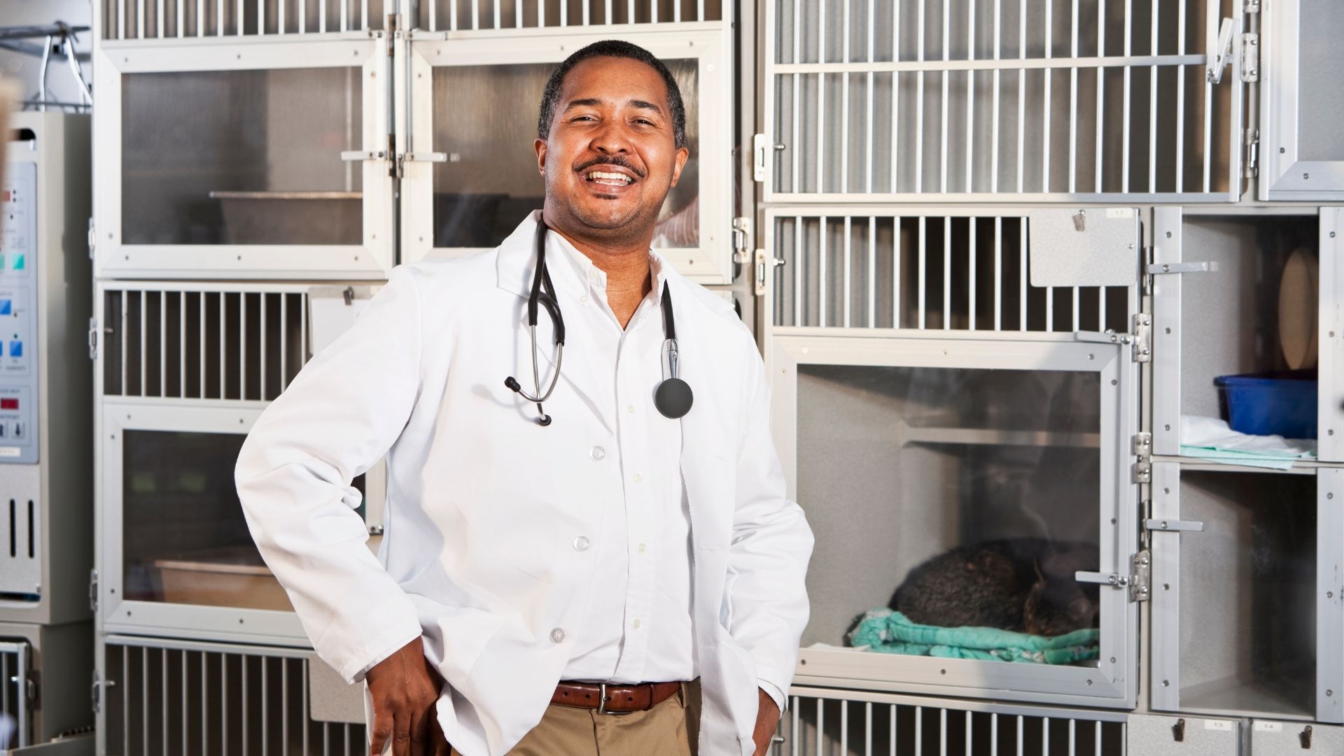 How to Train and Support Your Kennel Attendants for Success
