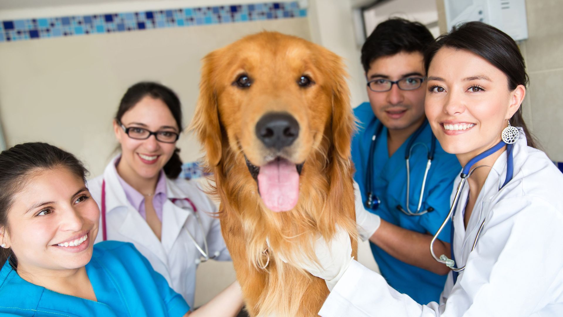 Navigating the Veterinary Job Market in 2025: Trends and Opportunities