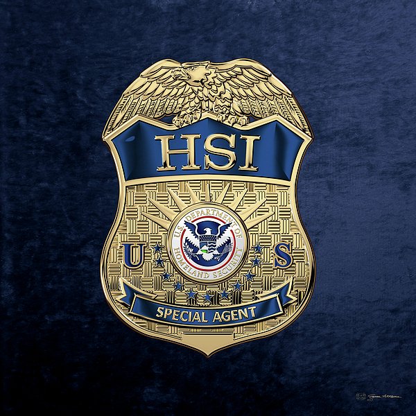 ICE HSI - Homeland Security Investigations