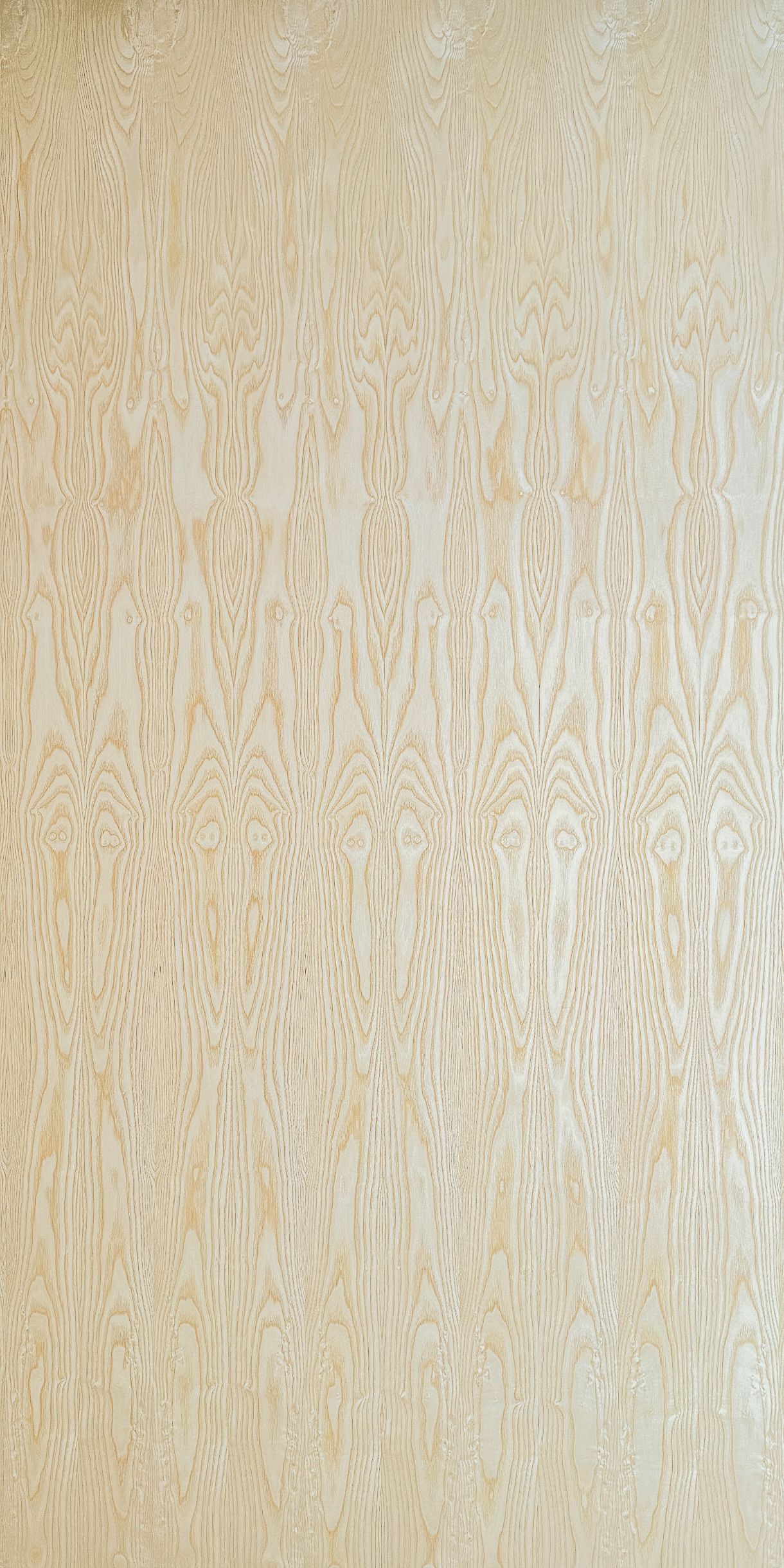 Ash Veneered Panels: Plywood & MDF