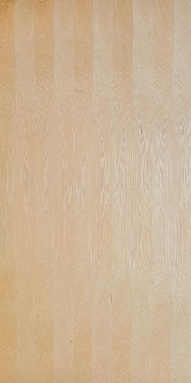 Steamed Beech Veneered Panels: Plywood & MDF