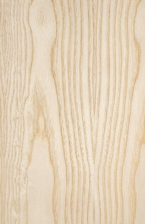 Oak Veneered Plywood