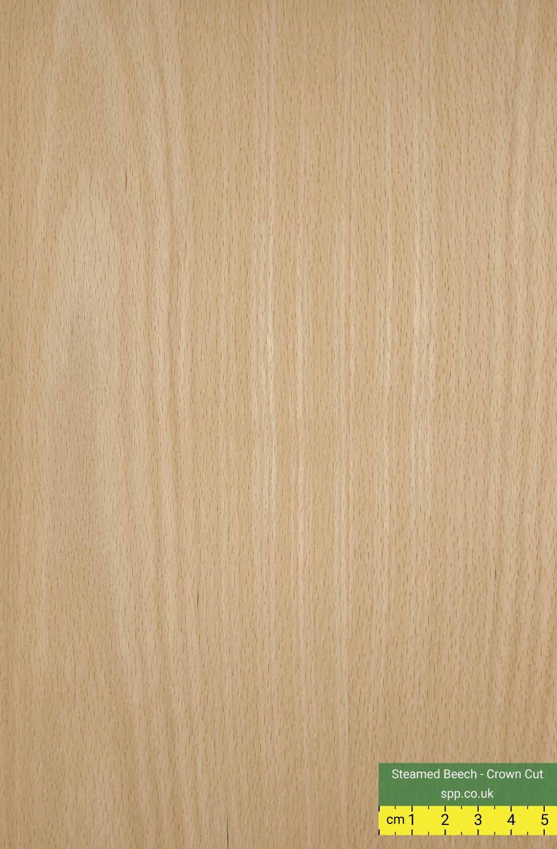 Steamed Beech Veneered Panels: Plywood & MDF