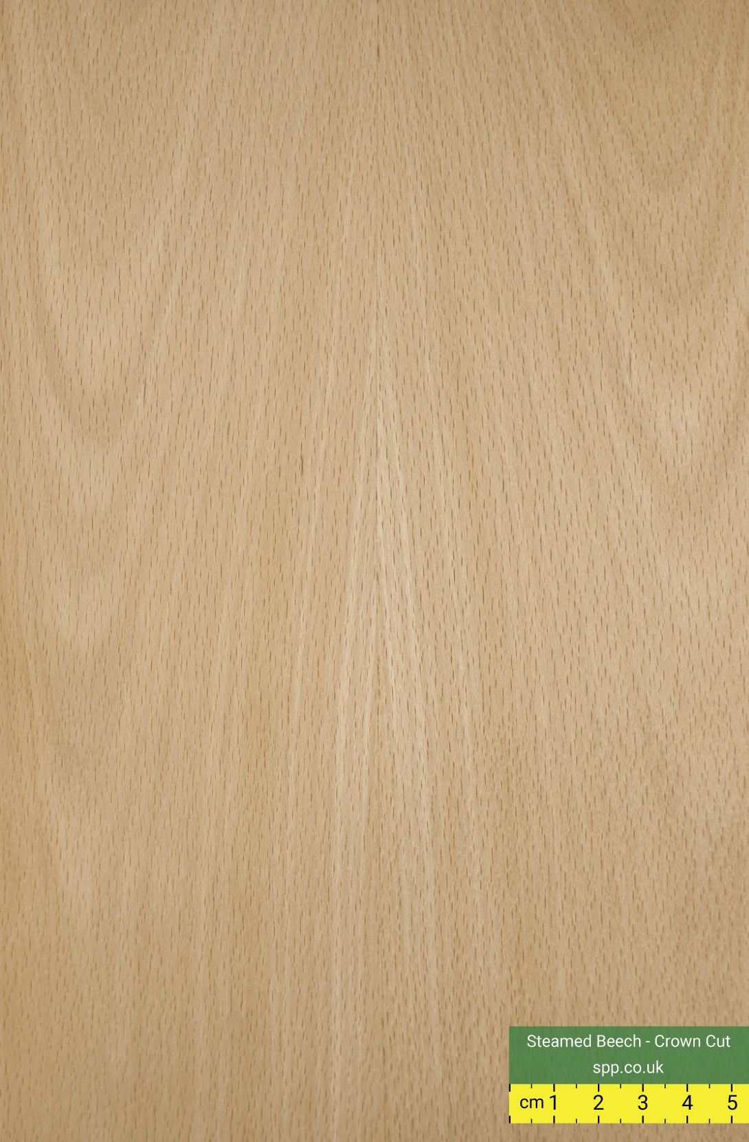 Steamed Beech Veneered Panels: Plywood & MDF