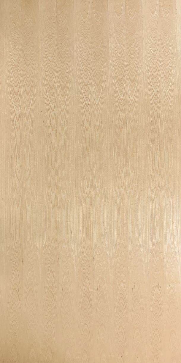 Steamed Beech Veneered Panels: Plywood & MDF