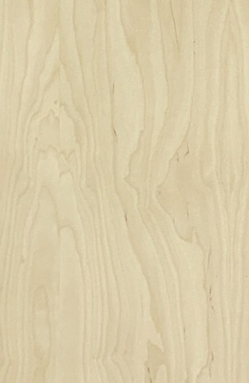 Oak Veneered Plywood