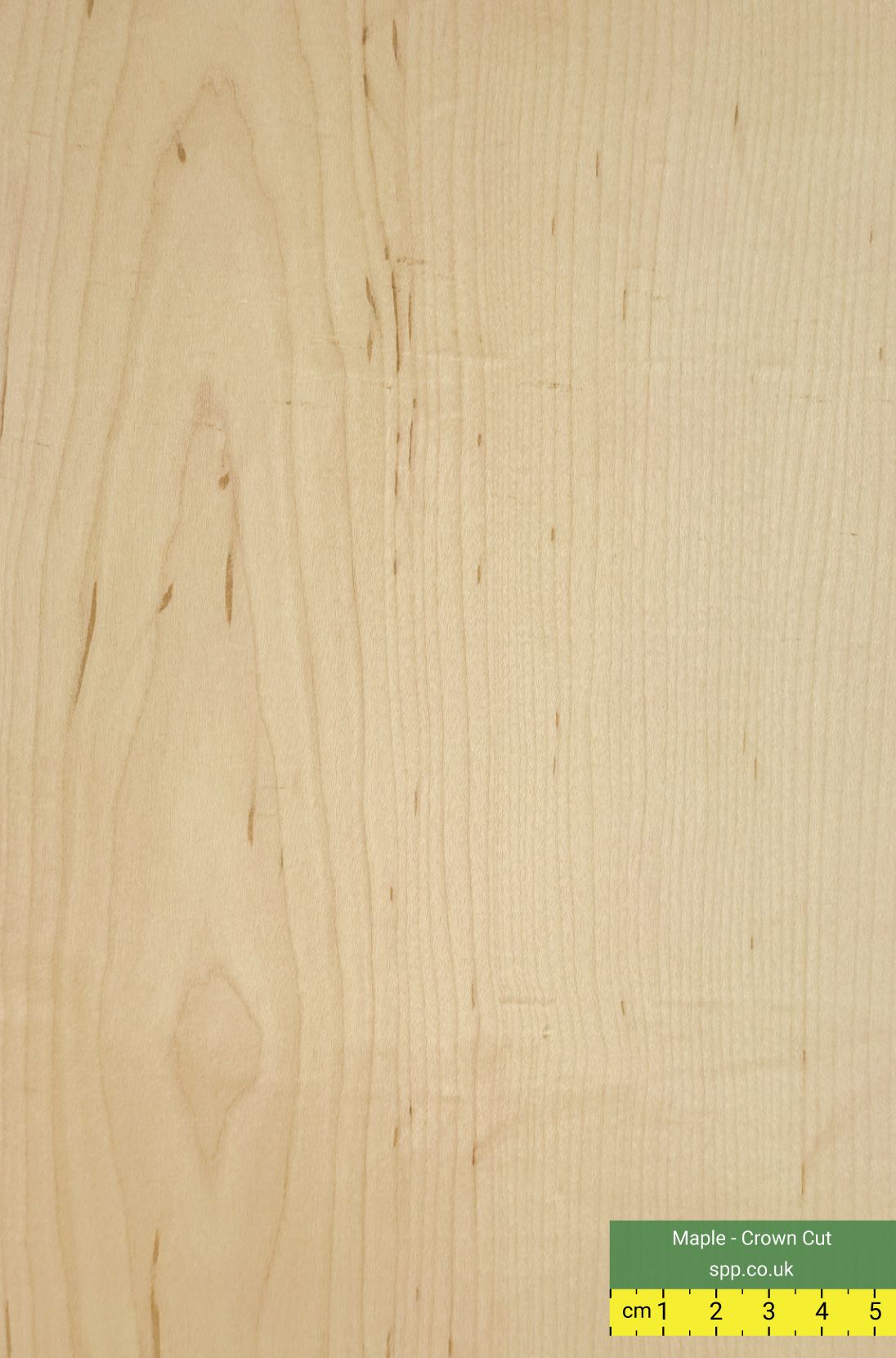 Maple Veneered Panels: Plywood & MDF
