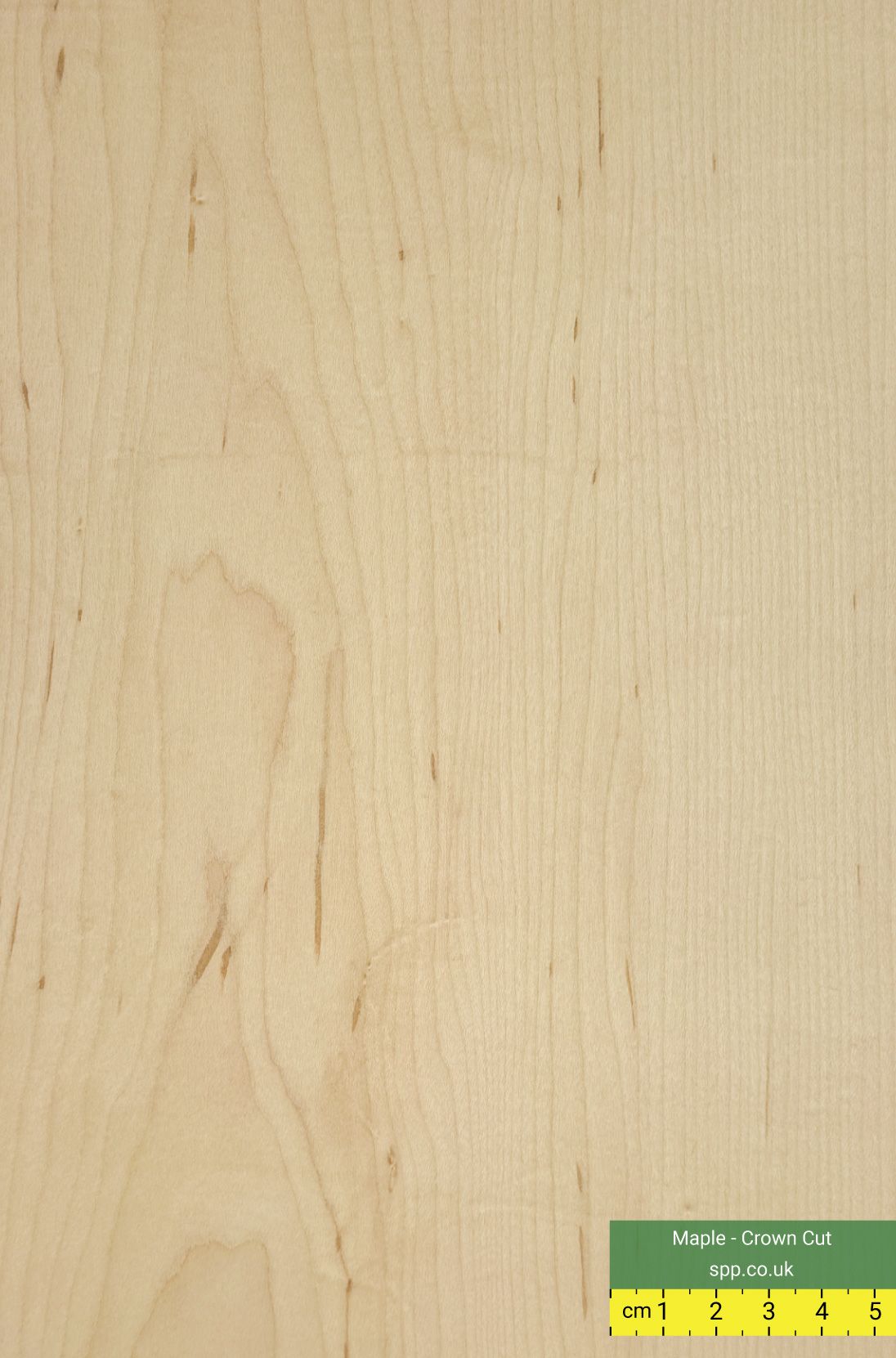 Maple Veneered Panels: Plywood & MDF