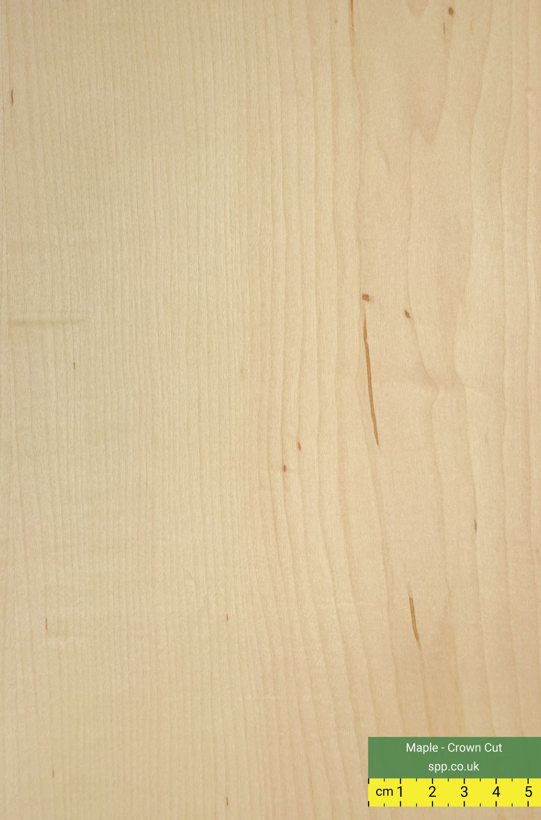 Maple Veneered Panels: Plywood & MDF