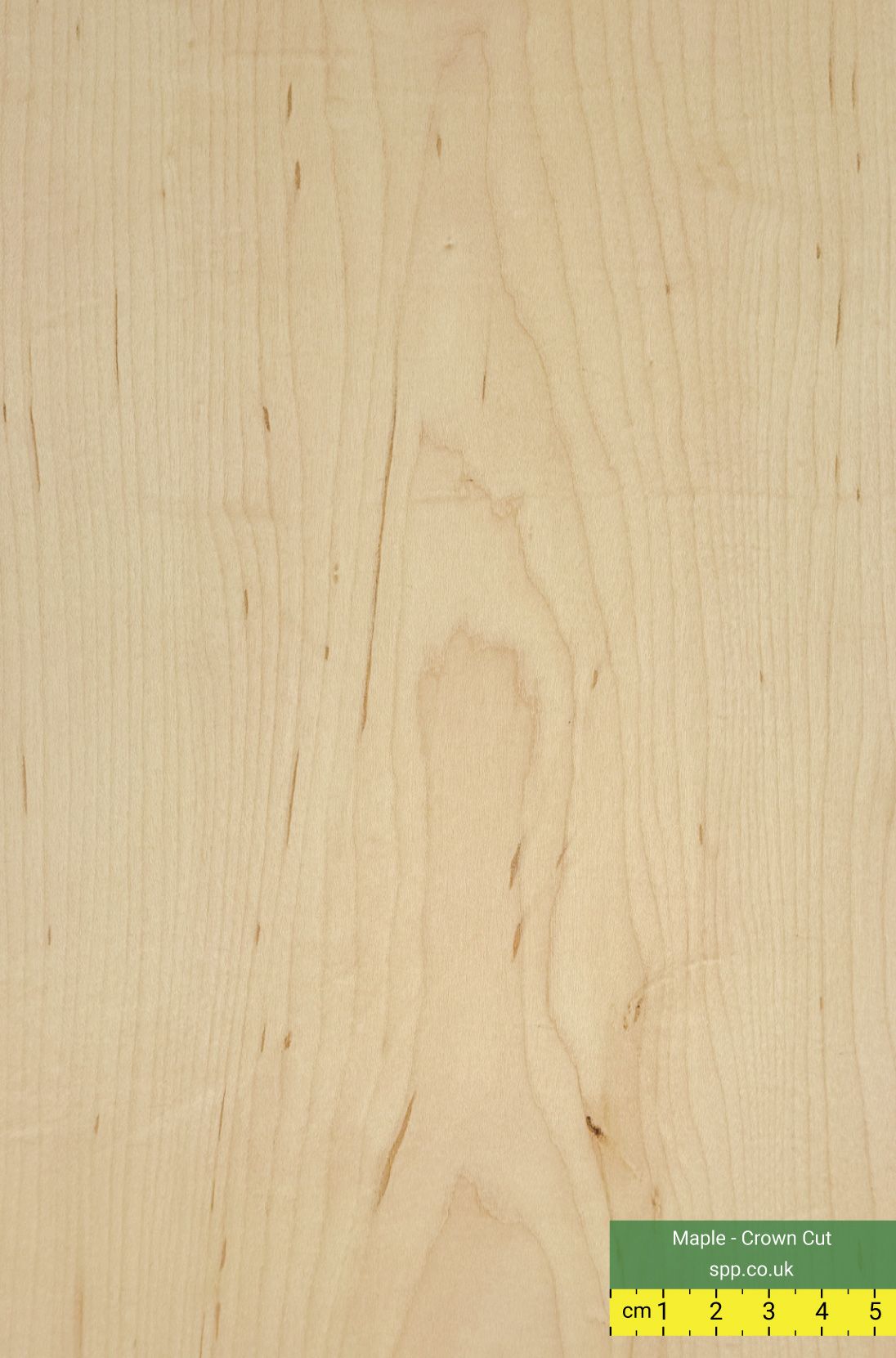 Maple Veneered Panels: Plywood & MDF