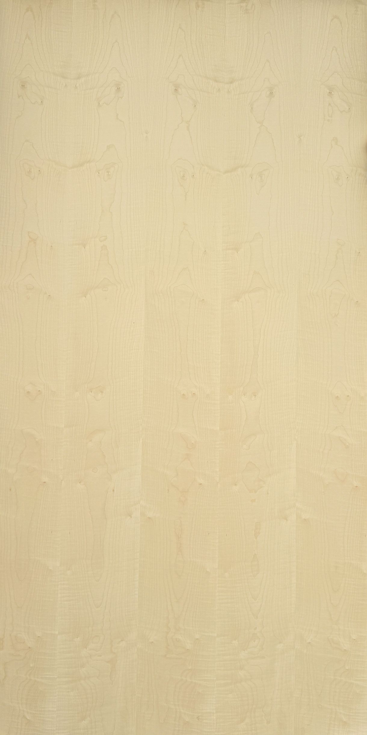 Maple Veneered Panels: Plywood & MDF