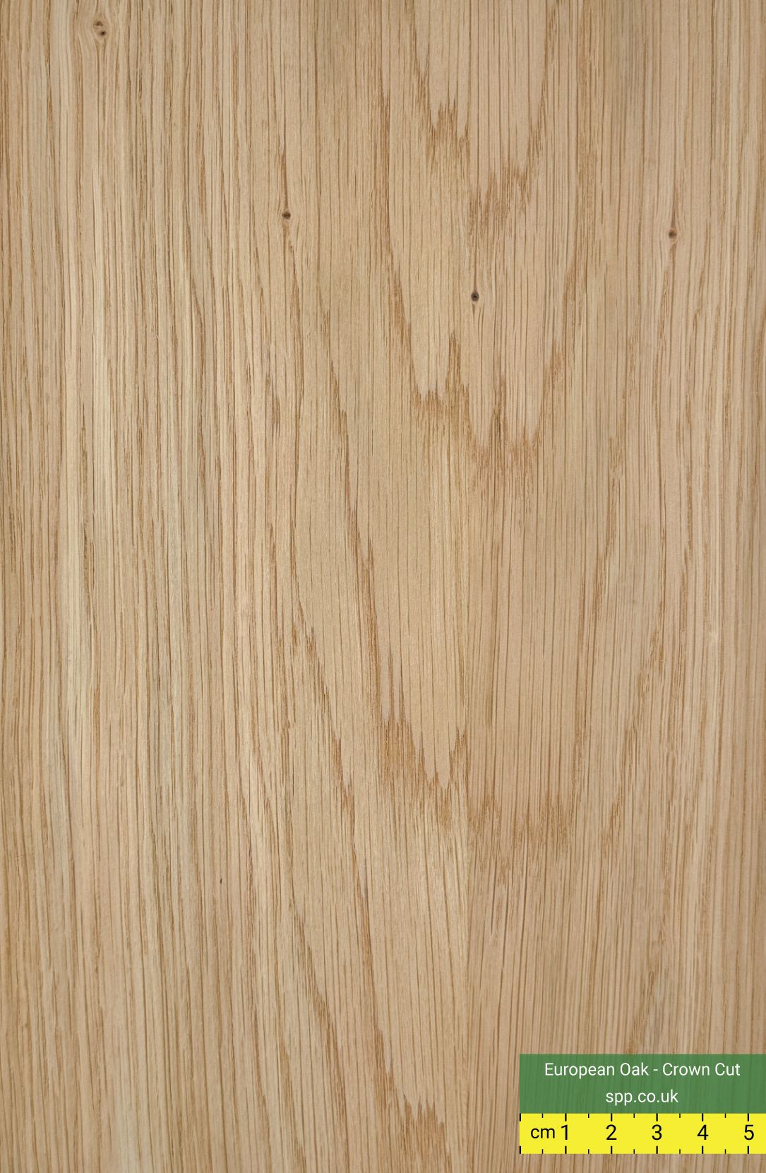 Oak Veneered Plywood