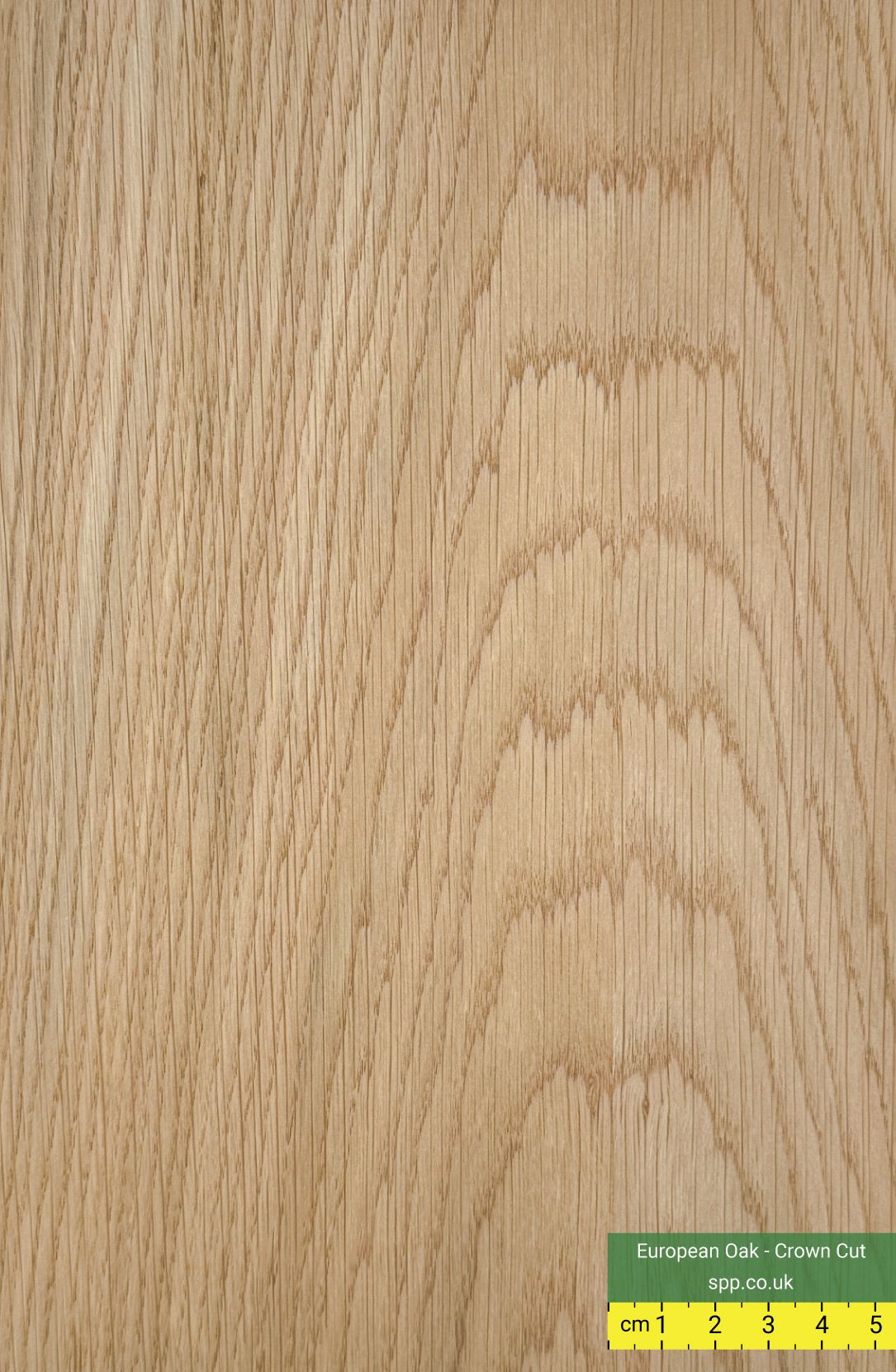 Oak Veneered Plywood