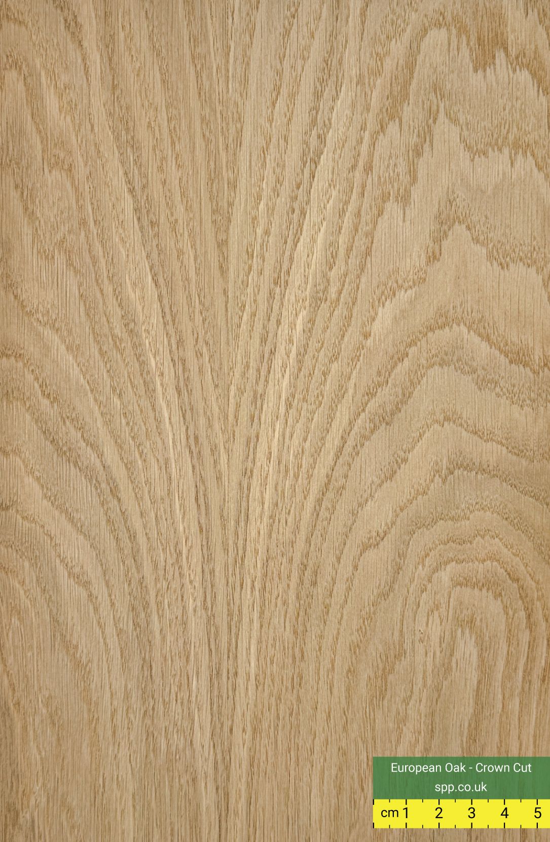 Oak Veneered Plywood
