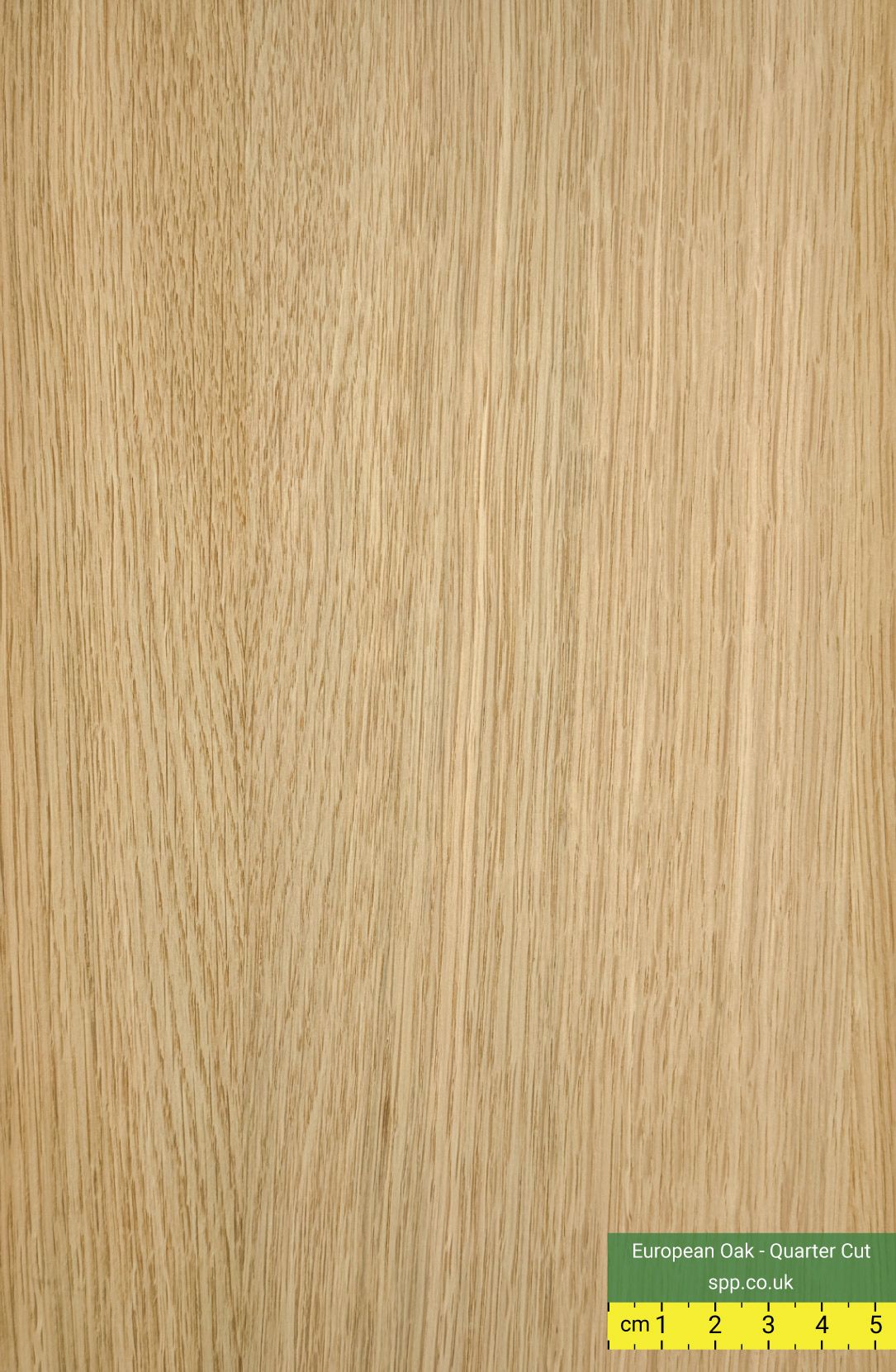 Oak Veneered Plywood