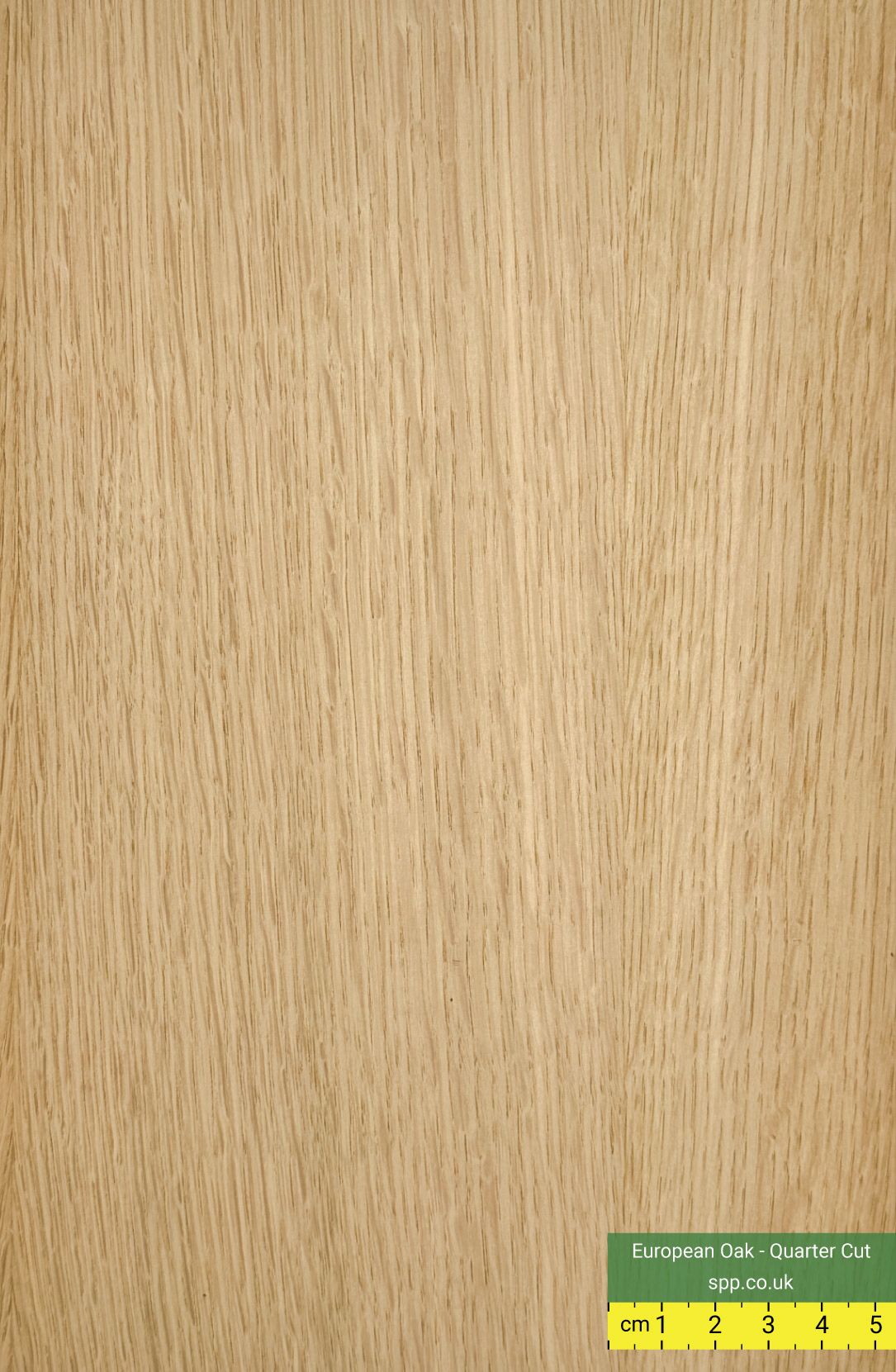 Oak Veneered Plywood