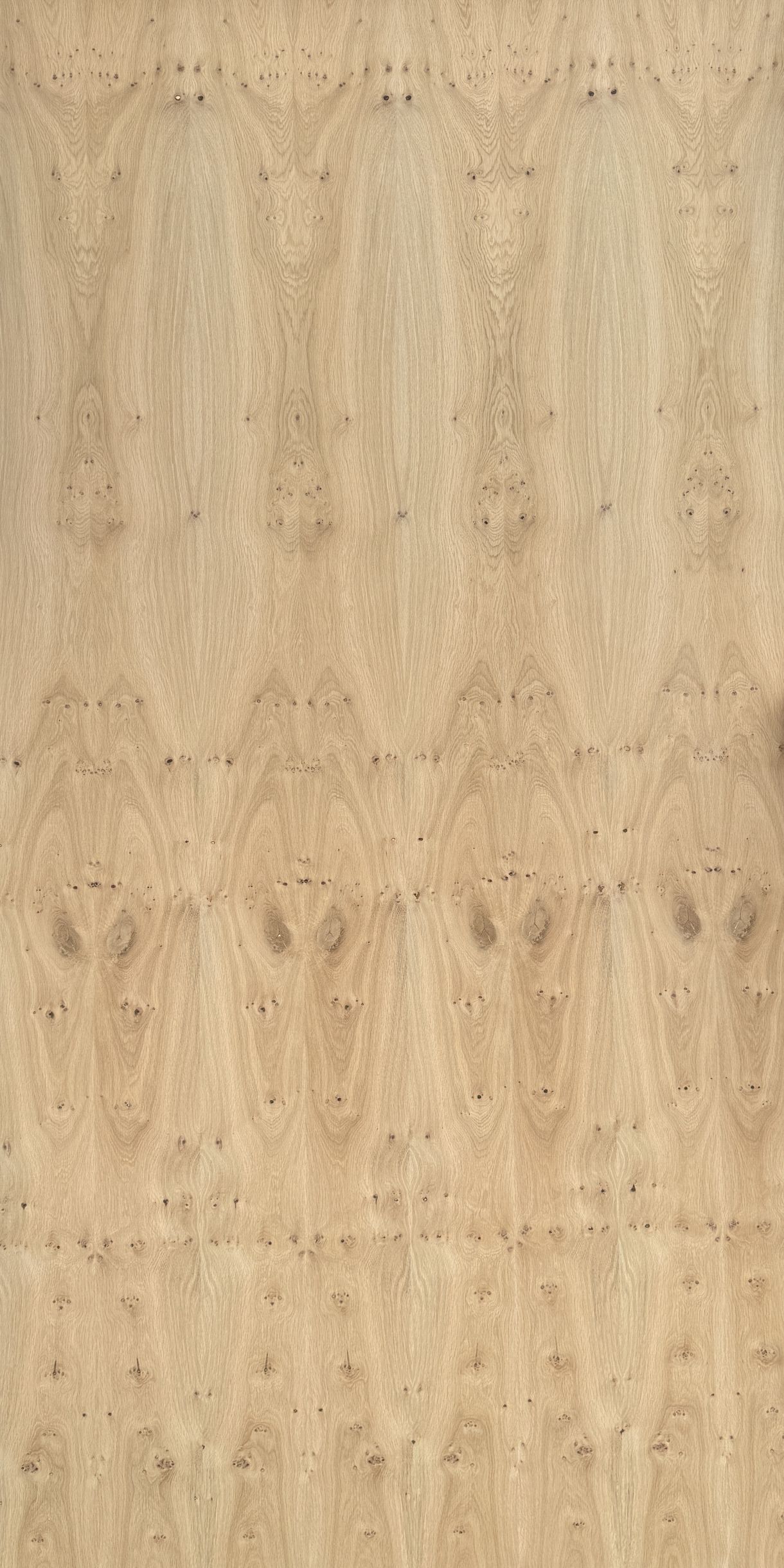 Character Oak Veneered Panels: Plywood & MDF