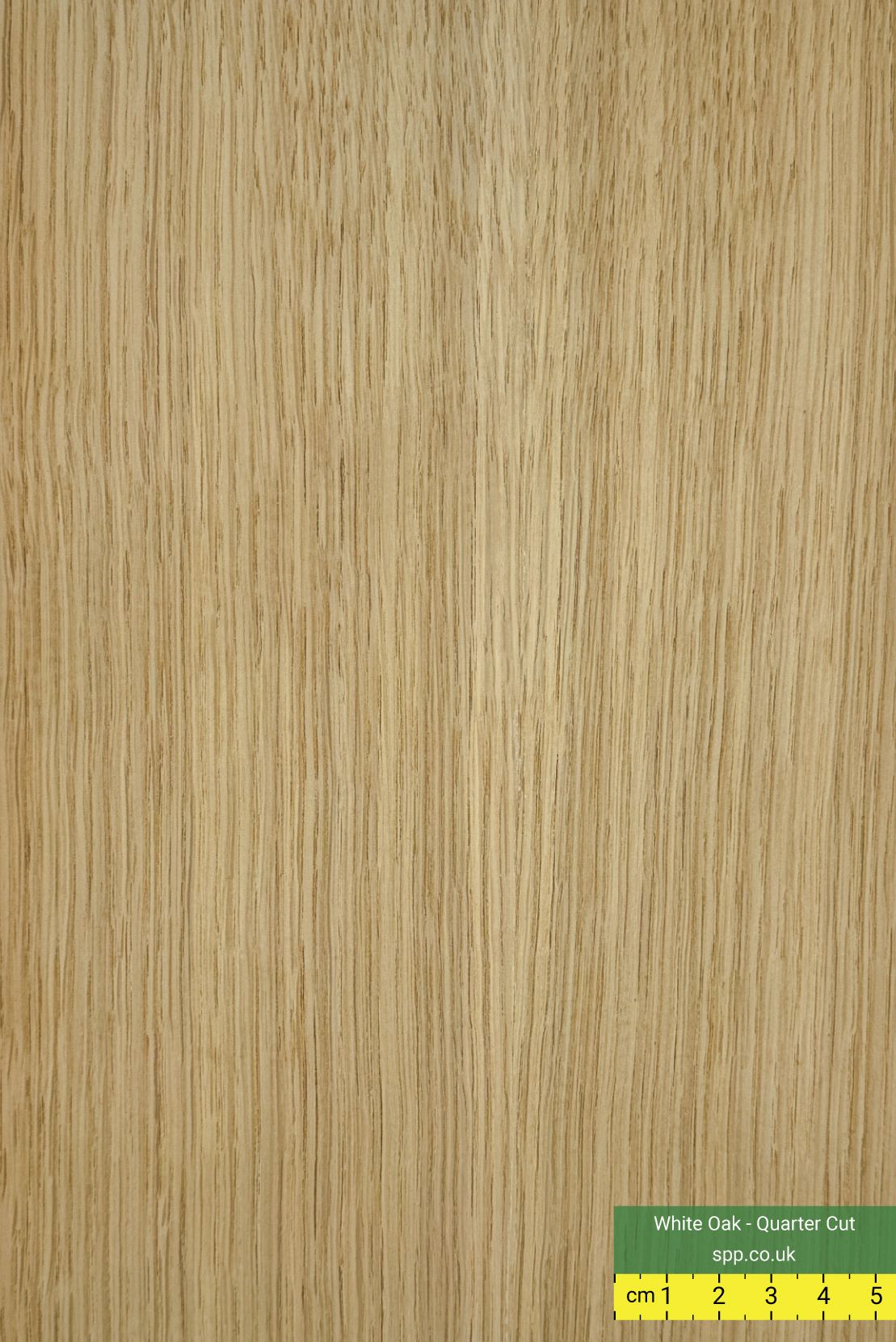 Oak Veneered Plywood