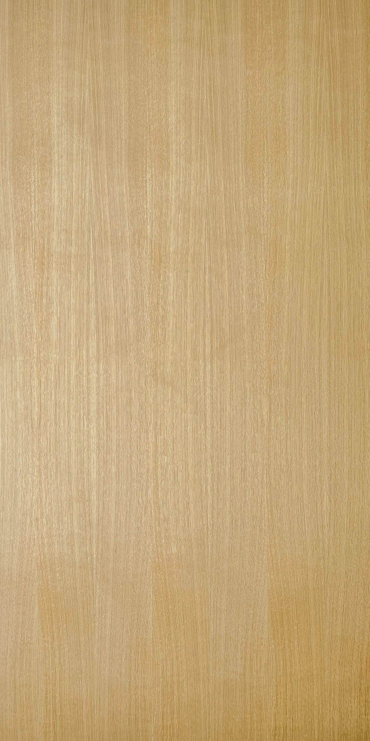 Oak Veneered Plywood