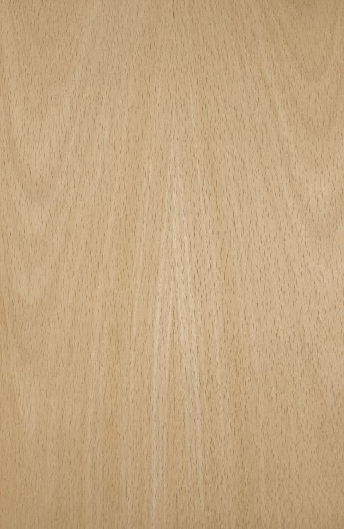 Oak Veneered Plywood