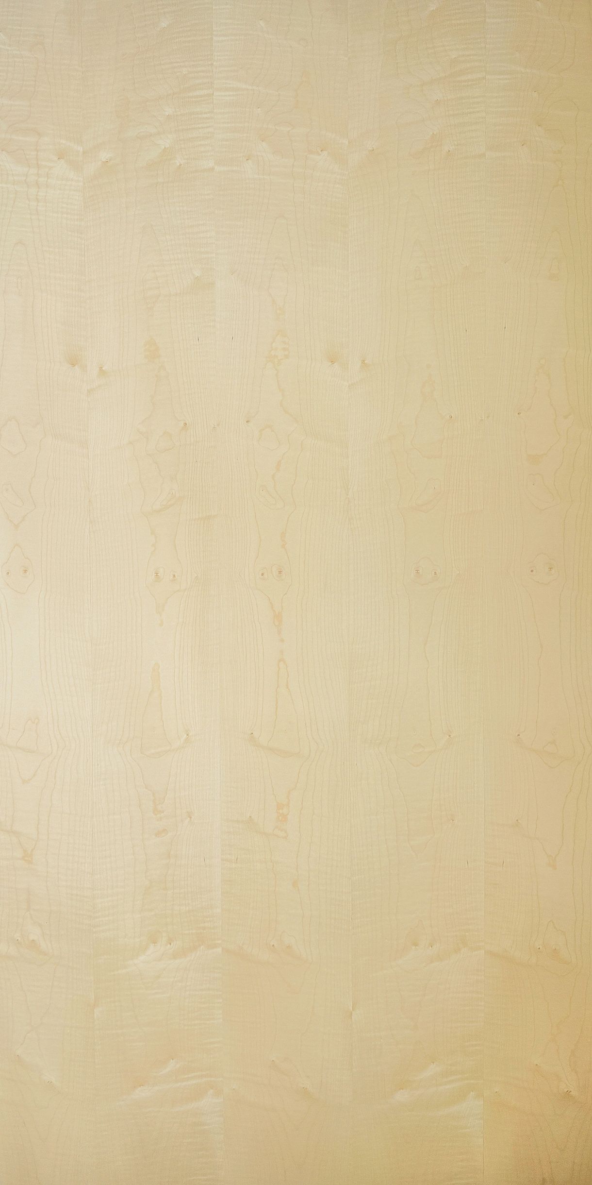 Sycamore Veneered Panels: Plywood & MDF