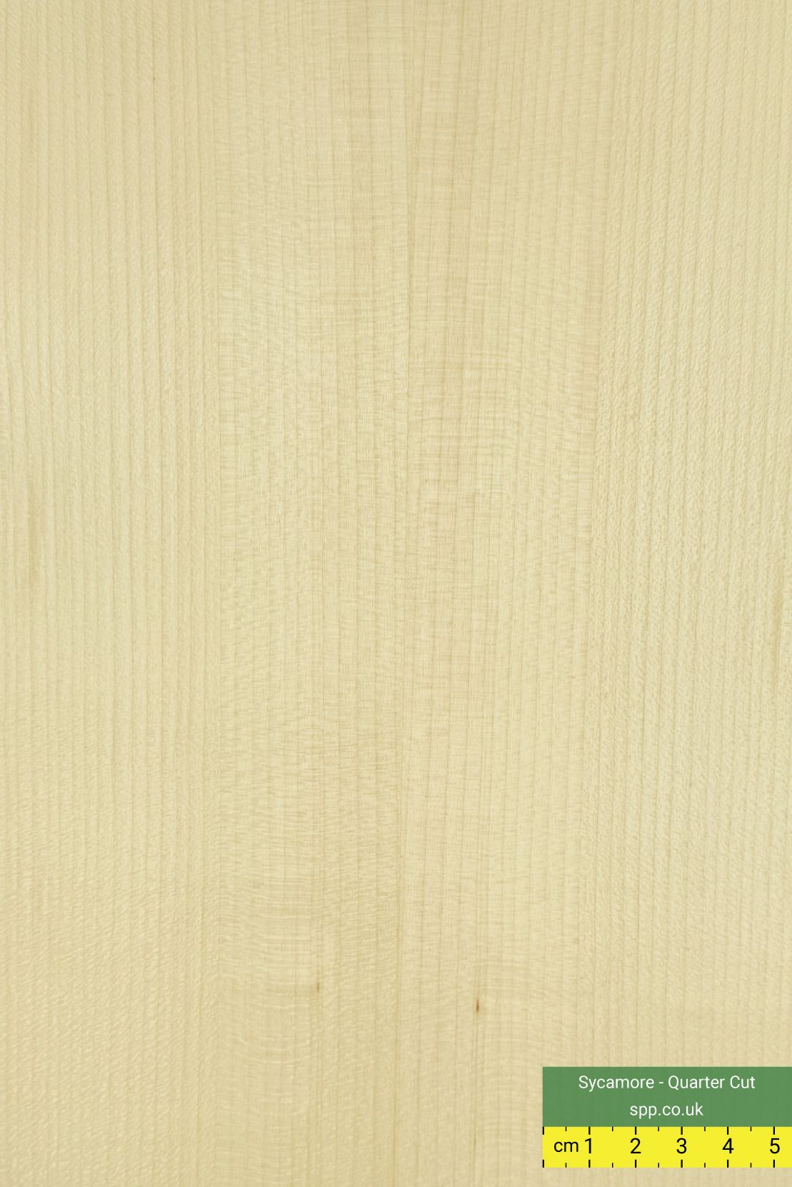 Sycamore Veneered Panels: Plywood & MDF