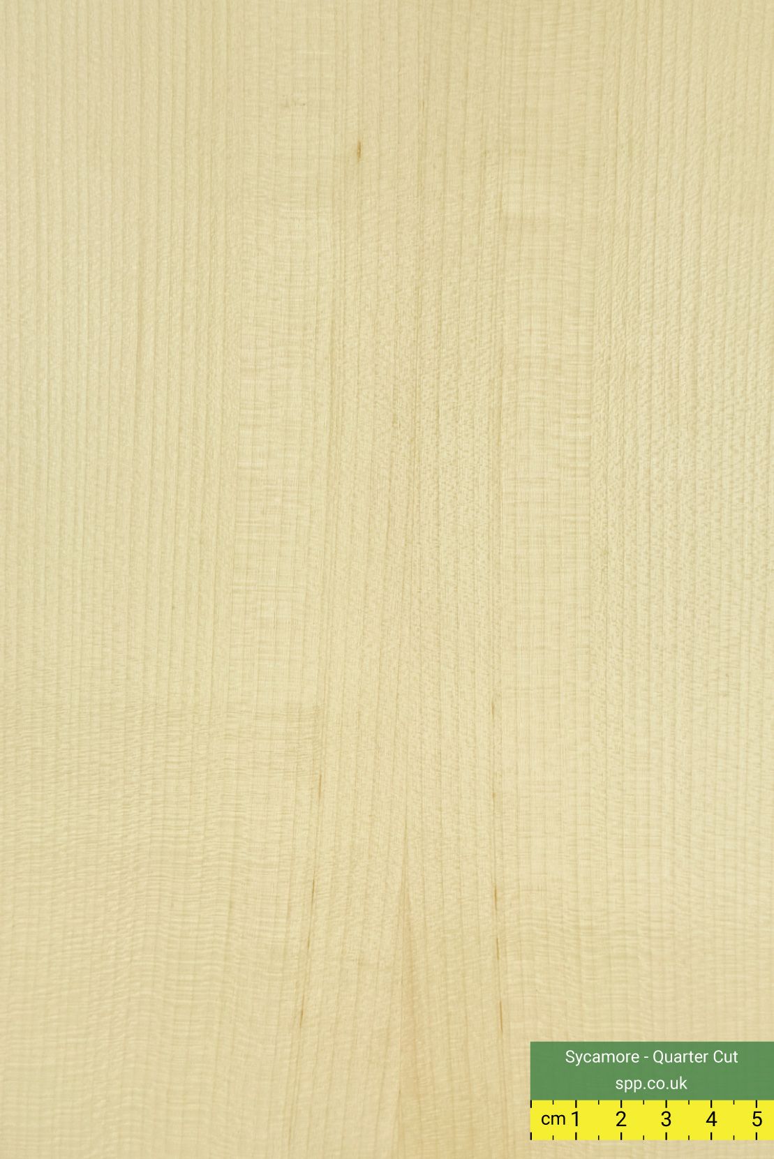 Sycamore Veneered Panels: Plywood & MDF