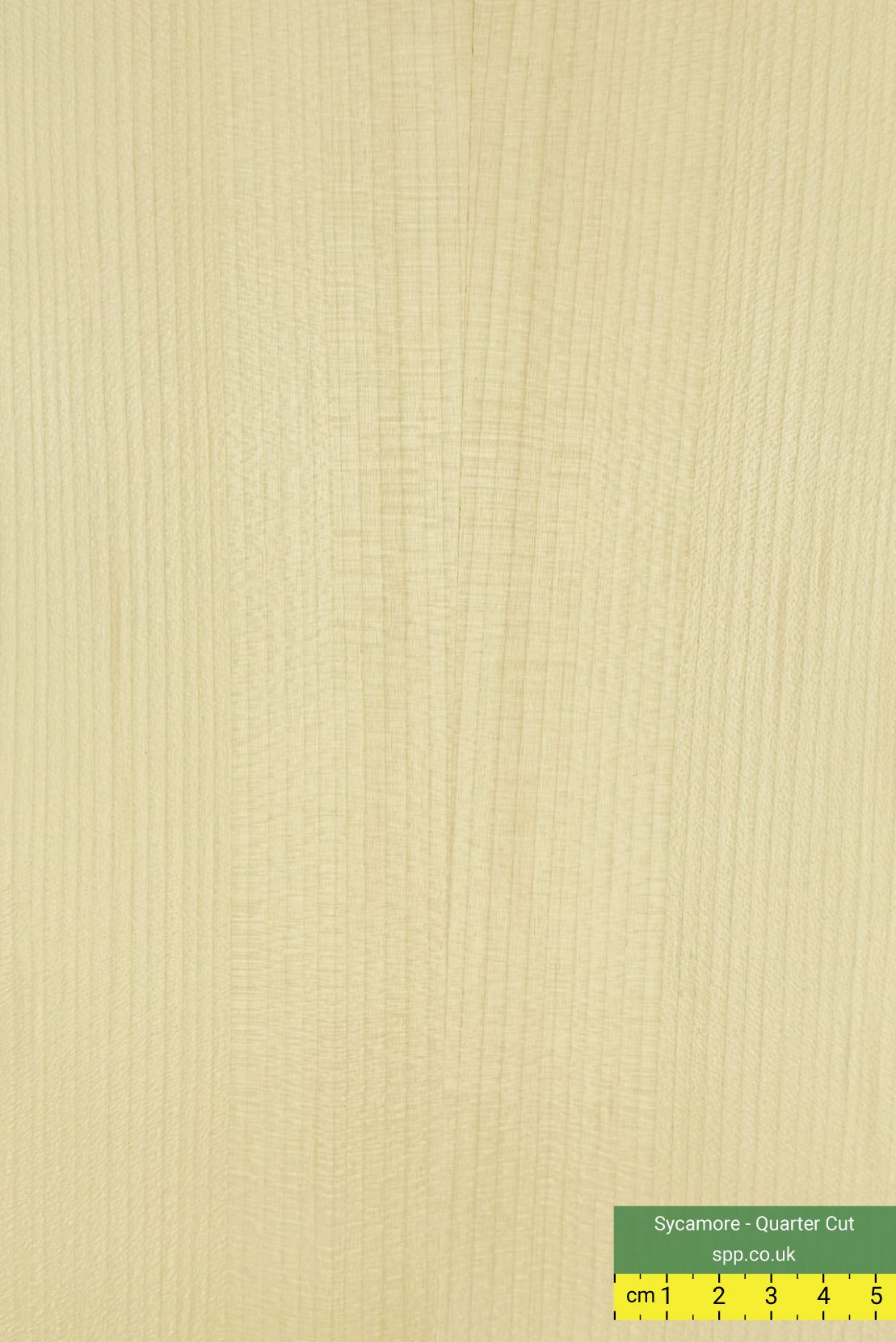 Sycamore Veneered Panels: Plywood & MDF