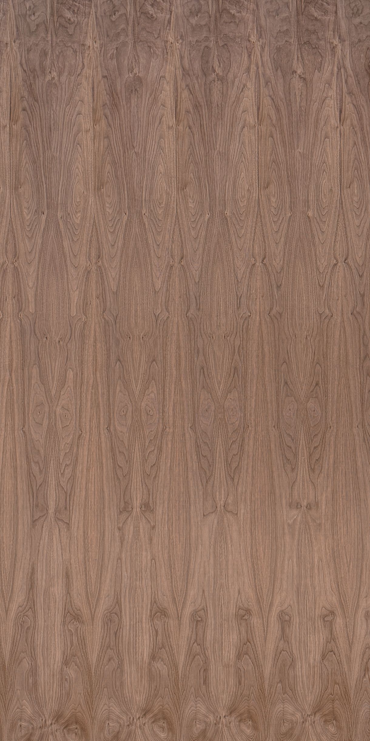Walnut Veneered Panels: Plywood & MDF