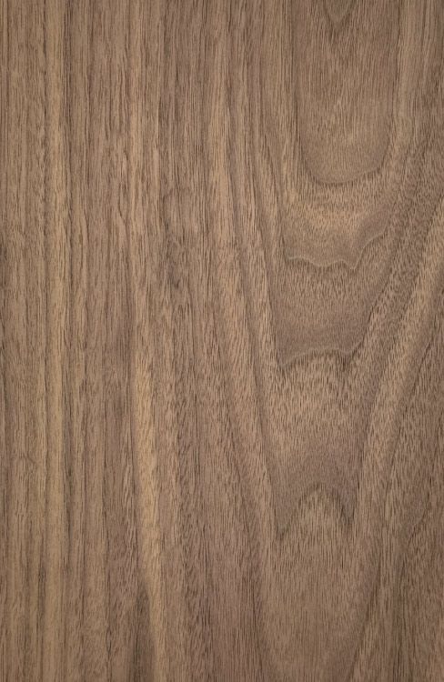 Oak Veneered Plywood