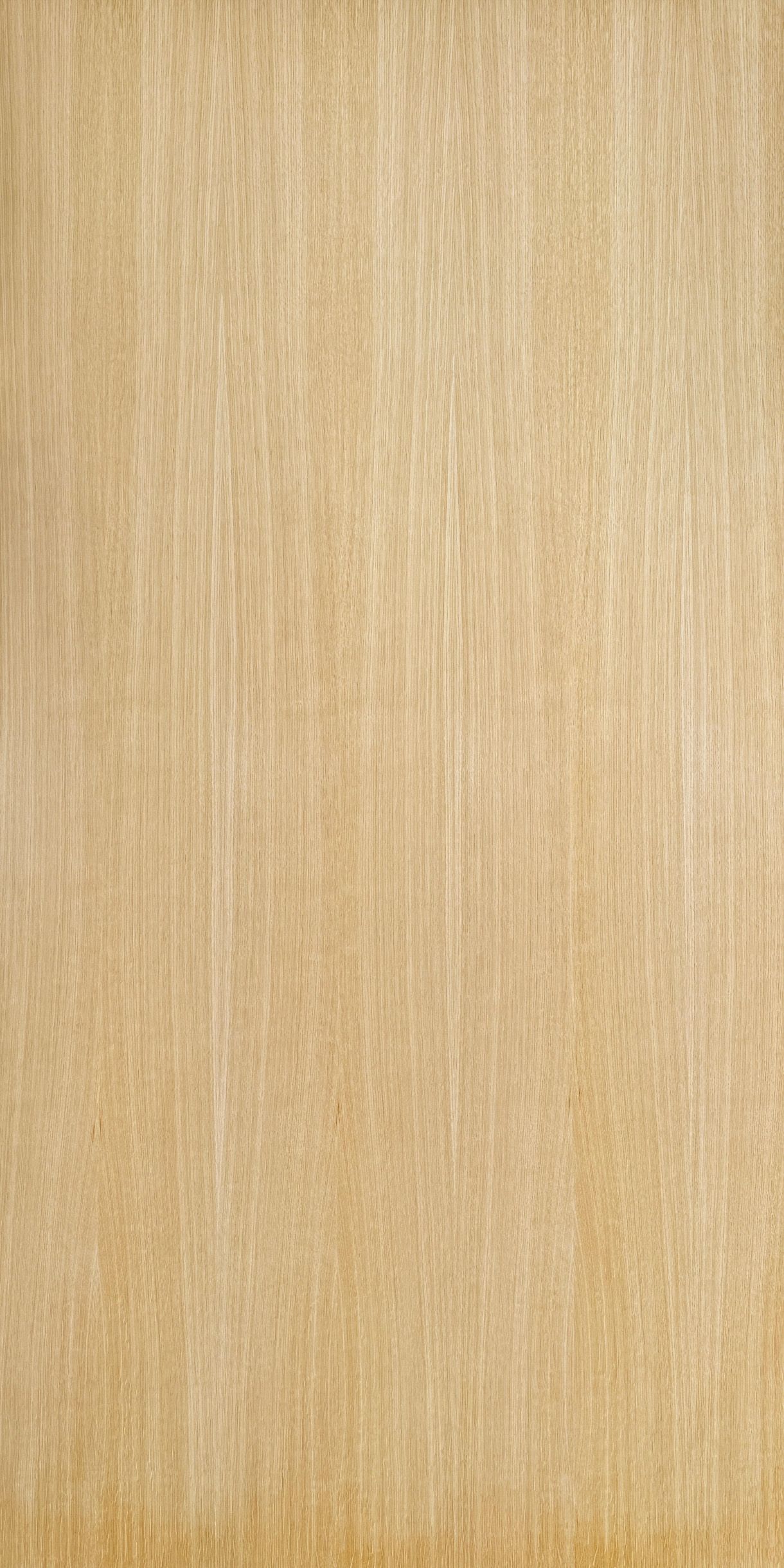 Oak Veneered Plywood