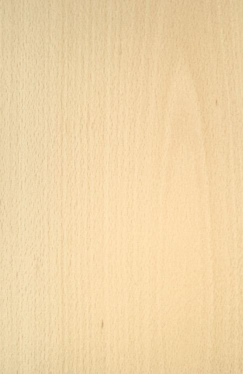 Steamed Beech Veneered Panels: Plywood & MDF