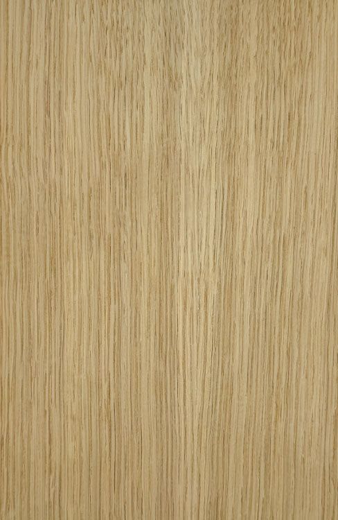 Oak Veneered Plywood